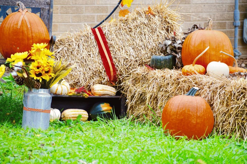 Why Soft Pretzels Are a Great Addition to Any Fall Festival - Plum ...